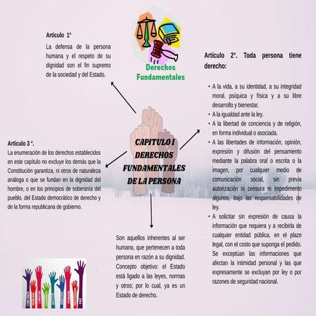 Qu Es Derechos Fundamentales Su Definicin Y Infografía Derechos