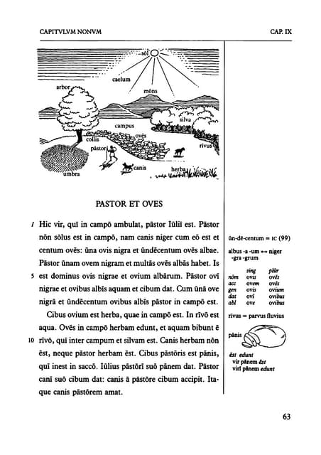 LLPSI - Capitulum xi - Corpus humanum | PDF