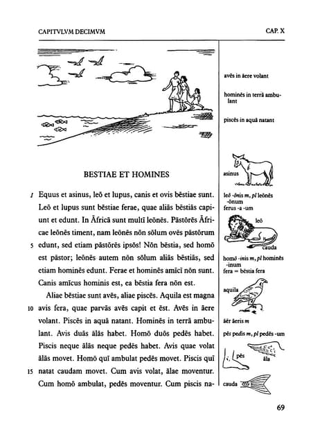 LLPSI - Capitulum xi - Corpus humanum | PDF