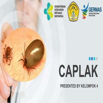 CAPLAK-INFO | PPT