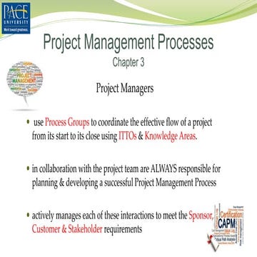 CAPM week 1 chapter 3 | PPTX