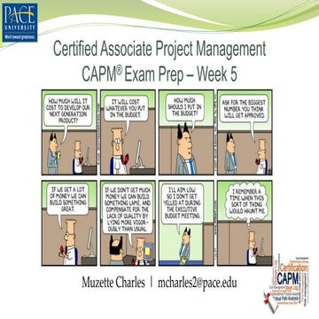 CAPM Week 5 Chapter 12 | PPT