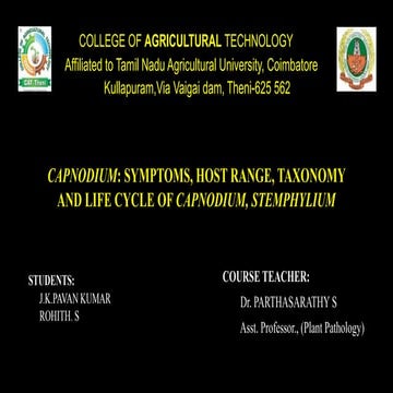 Capnodium symptoms, host range, taxonomy and life cycle of capnodium ...