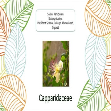 Capparidaceae ( Caper family) from Ahmedabad | PDF