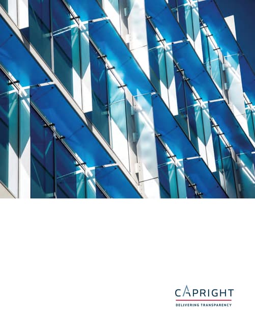 Offshore Company Formation Company Set-Up and Management - ILS World | PDF
