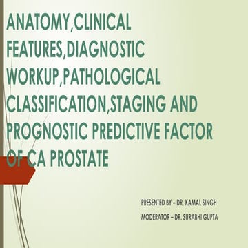 ca prostate-anatomy to diagnostic work up | PPTX