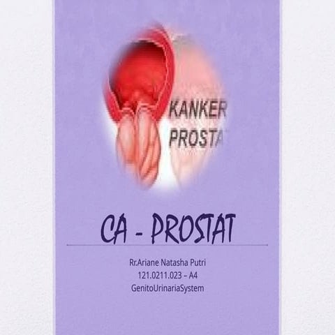 CA PROSTAT RR ARIANE ( kanker prostat ) 023.pptx