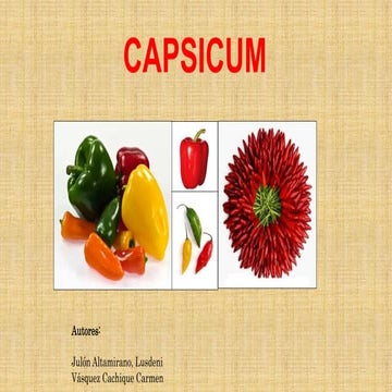 CAPSICUM Productos de Agroexportación | PPTX