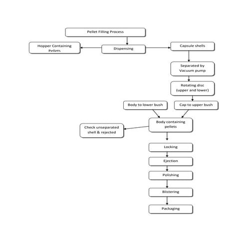 capsul flow chart.docx