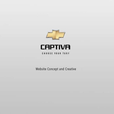 Captiva Presentation1 | PPT