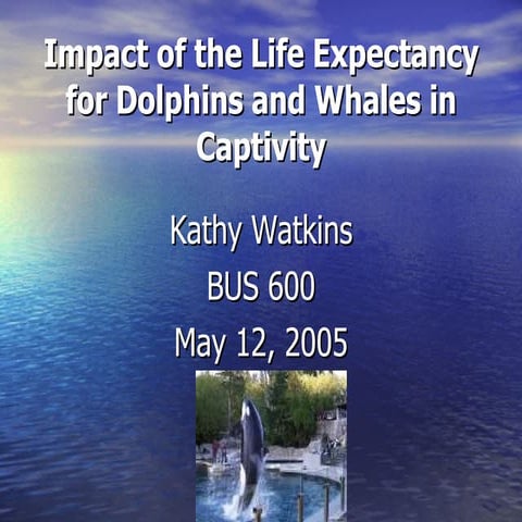 Captivity of dolphins and whales | PPT