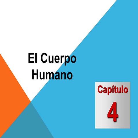 Capítulo 04 - El Cuerpo Humano.ppt