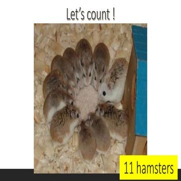 Capture Mark Release Recapture Technique.pptx