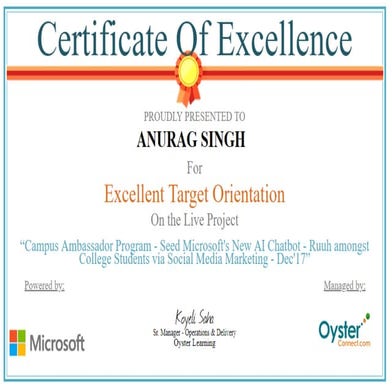 Certificate of Excellence for Excellent Target Orientation | PDF