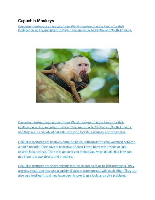 wepik-exploring-the-fascinating-world-of-monkeys-20240413214208zuQg.pptx