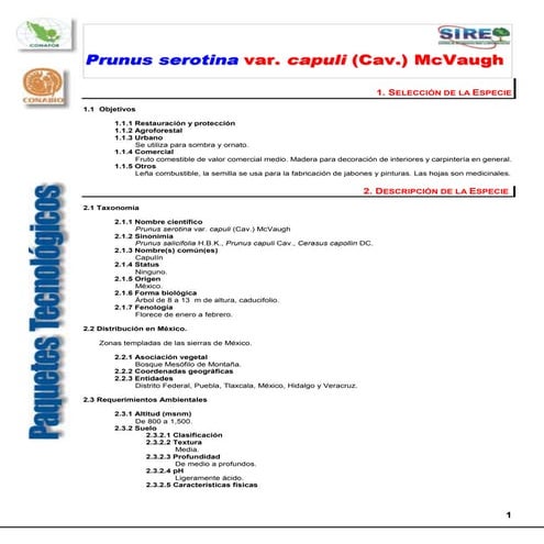 Capuli prunus serotina | PDF