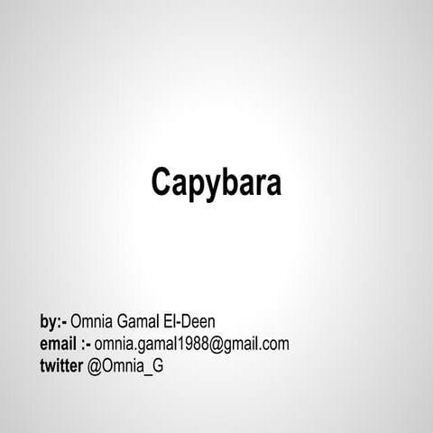 Capybara With Rspec Ppt 8961