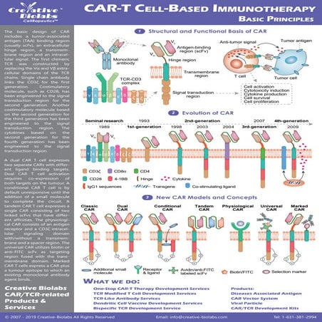 Car t-cell-based-immunotherapy-basic-principles | PDF