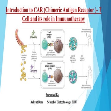 CAR- T Cell | PDF