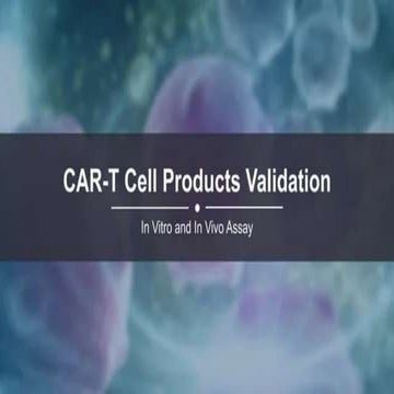 CAR-T manufacturing.pptx