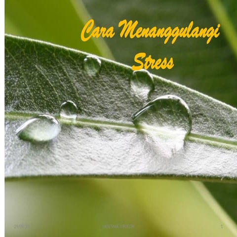 CARA-ATASI-STRES Cara Mengatasi Stress.ppt
