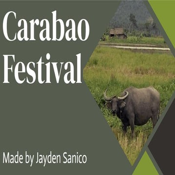 Carabao Festival | PDF