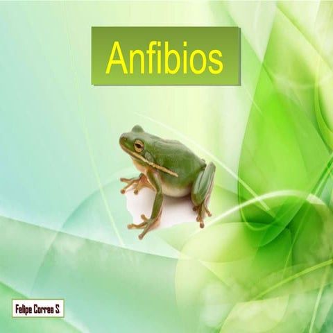Caracteres anfibios | PPT