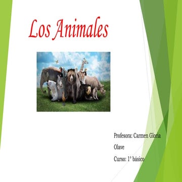 Ppt animales 1° | PPTX