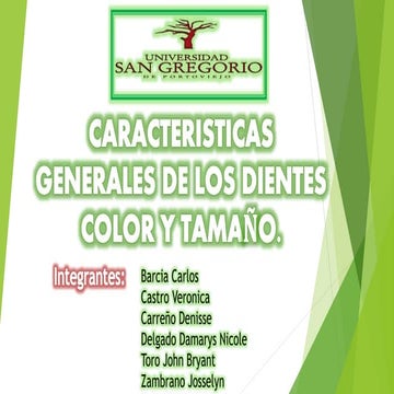 CARACTERÍSTICAS GENERALES DE LOS DIENTES: COLOR Y TAMAÑO PPT | PPTX