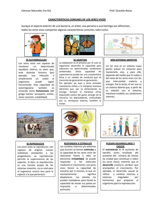 Caracteristicas De Los Seres Vivos Características De Los Seres Vivos