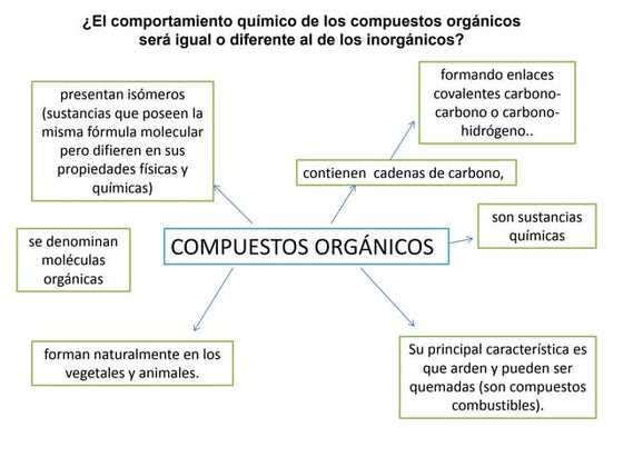 El suelo (sopa de letras) | PPT
