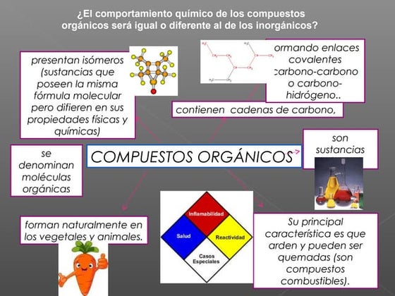 El suelo (sopa de letras) | PPTX