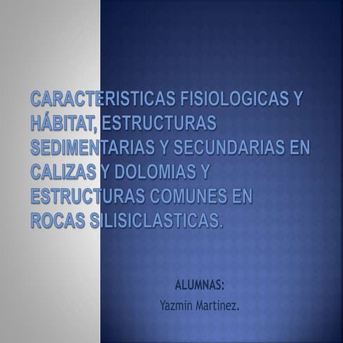 Yacimientos sedimentarios | PPTX