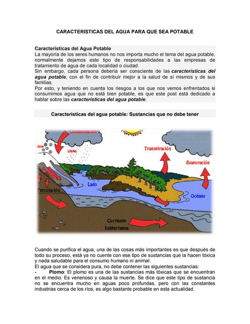 Mapa conceptual del agua potable | PPT