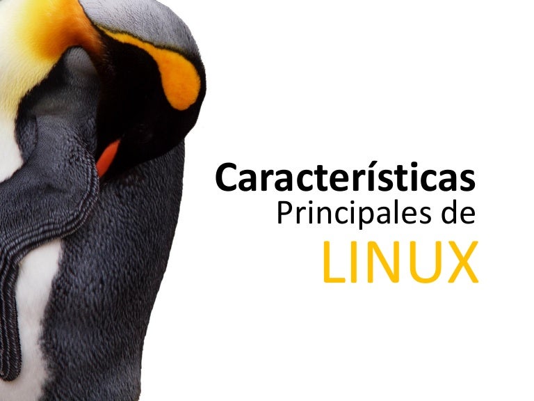 Principales Caracteristicas