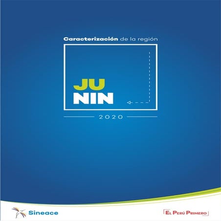 Caracterizacion Regional Junin Olga Miranda | PDF
