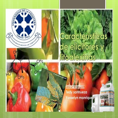 Características de elicitores y fitoalexinas final final | PPTX