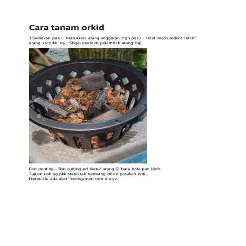 Cara tanam orkid | DOCX