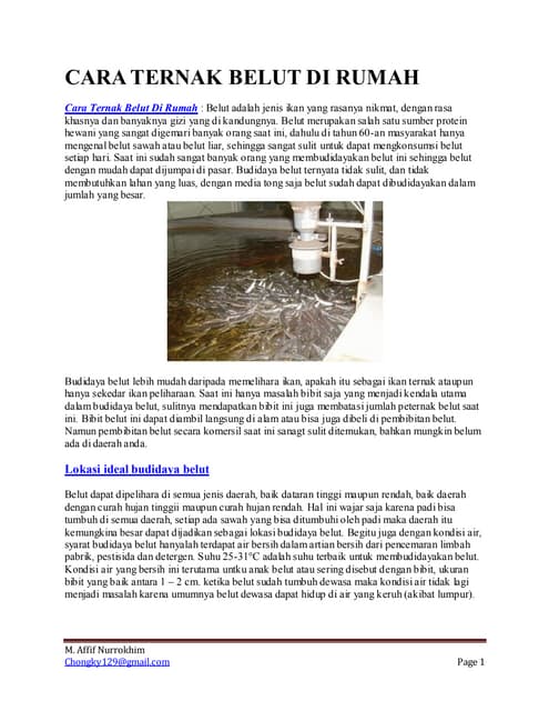 Bbudidaya Belut | PDF