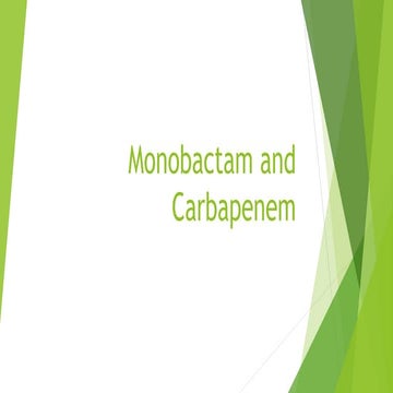 carbapenem monobactam.pOWERPOINT PRESENTATION | PPTX