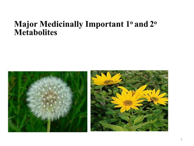 Carbohydrates Structure and functions- Biochemistry PPT for Students ...