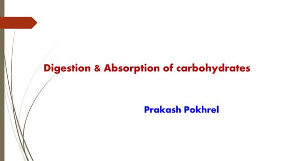 Digestion and Absorption of carbohydrates | PPSX | Digestive Disorders ...