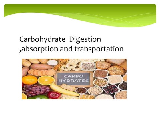 Digestion and Absorption of carbohydrates | PPT