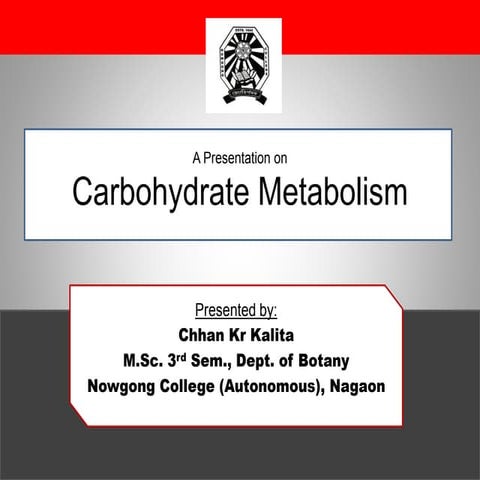 Carbohydrate metabolism.pptx