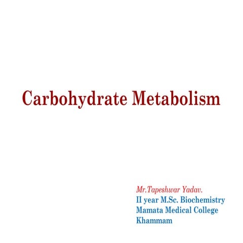 Carbohydrate metabolism | PPT