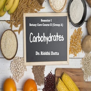 Basics of Carbohydrate Biochemistry | PDF