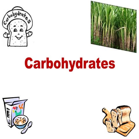 carbohydrates.ppt