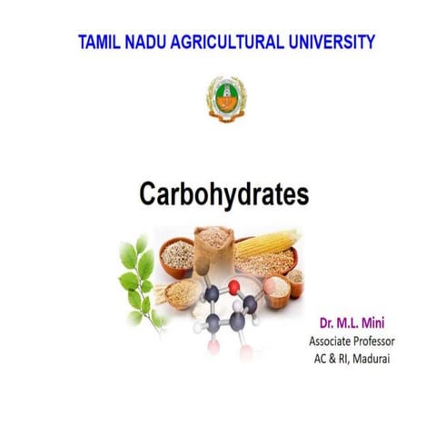 Carbohydrates.pptx