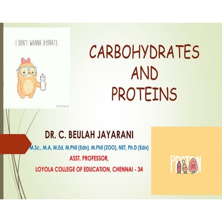Carbohydrates and proteins | PDF