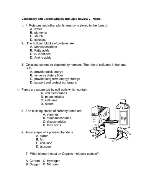 quiz - macromolecules of grade 11 senior high school | PPT